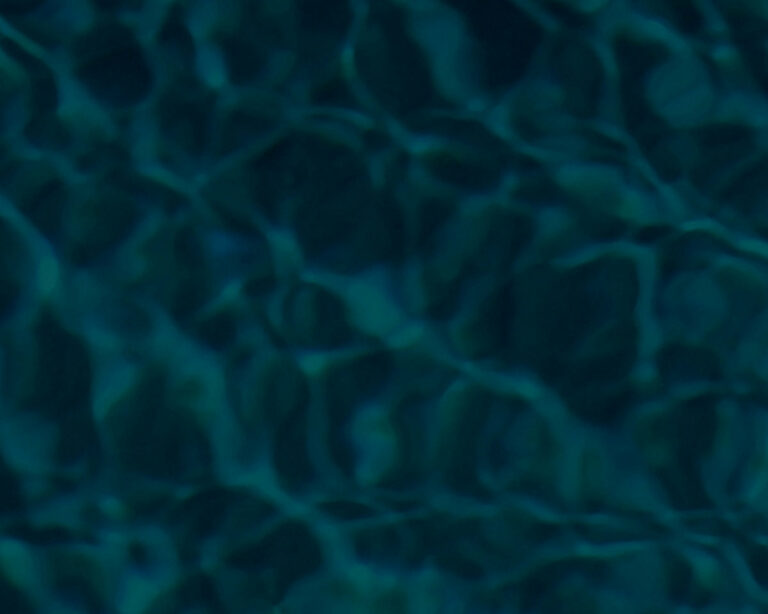 PebbleTec Pool Finishes – U.S. Gunite & U.S. Pool Plaster